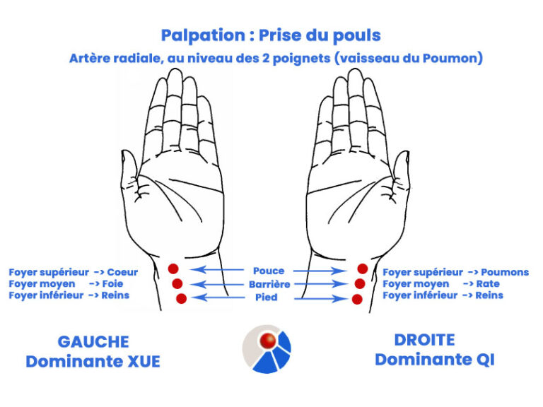 Palpation du pouls en médecine traditionnelle chinoise